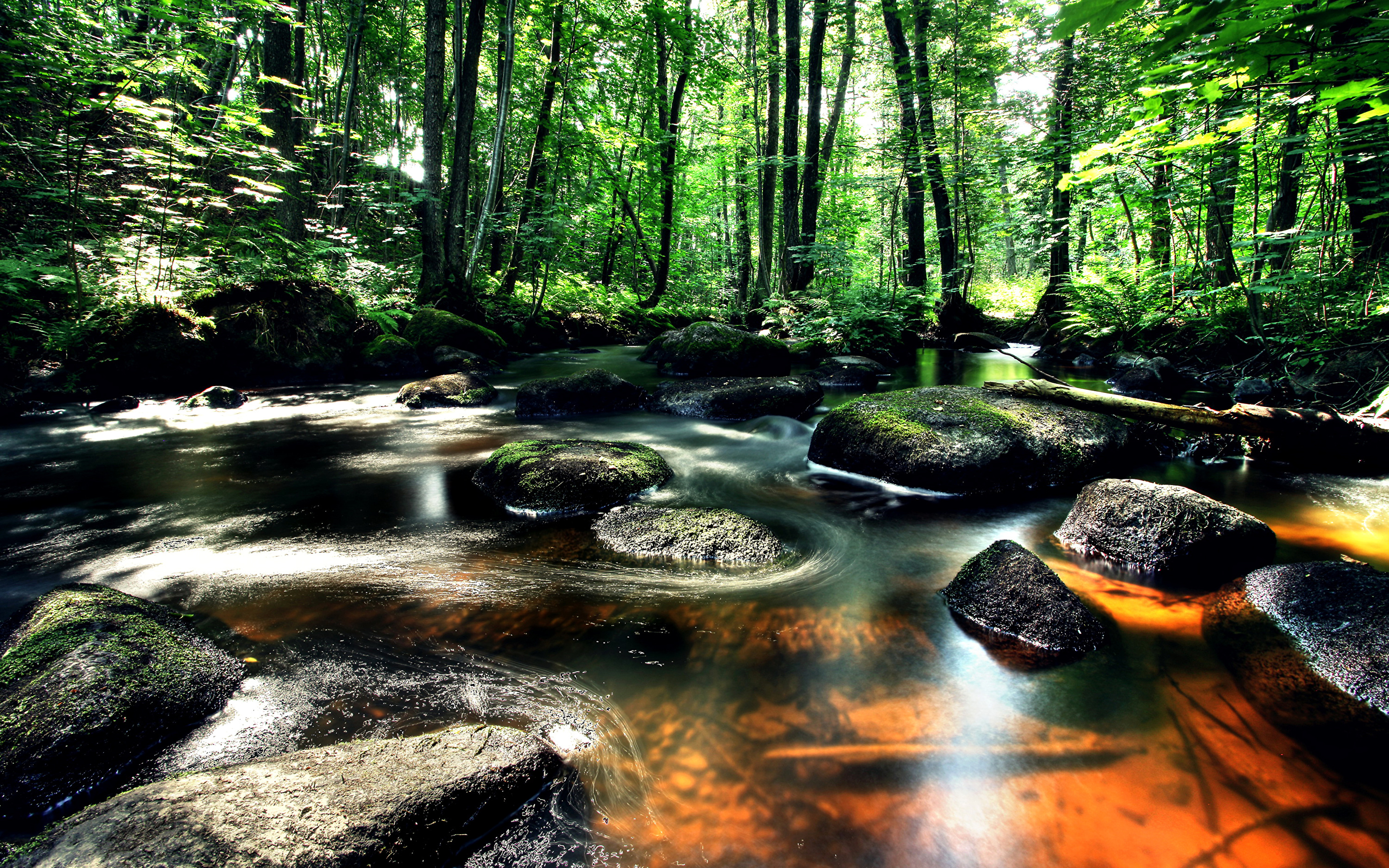 Обои природа, водоем, поток, лес, водоток - картинка на рабочий стол и ...